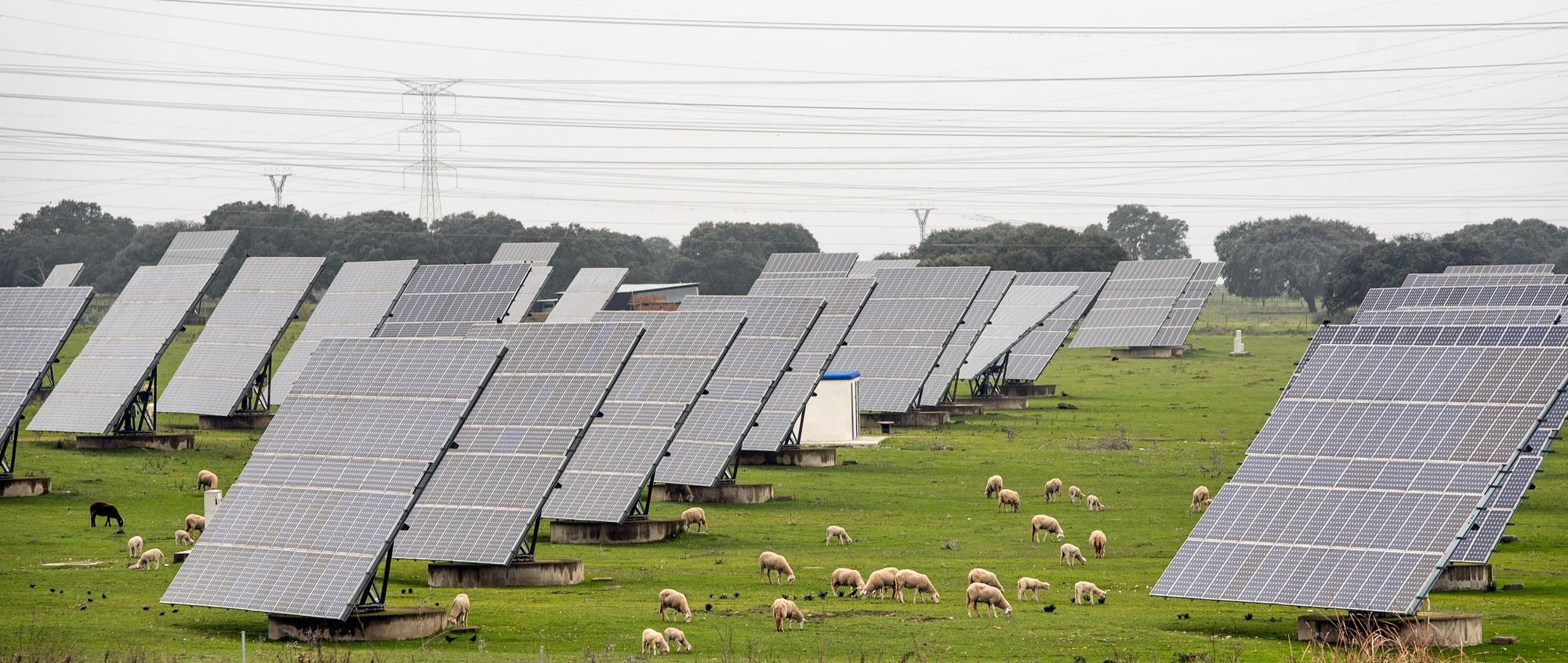 Solar Power Vs. Traditional Energy Sources in Ireland: A Green Energy ...